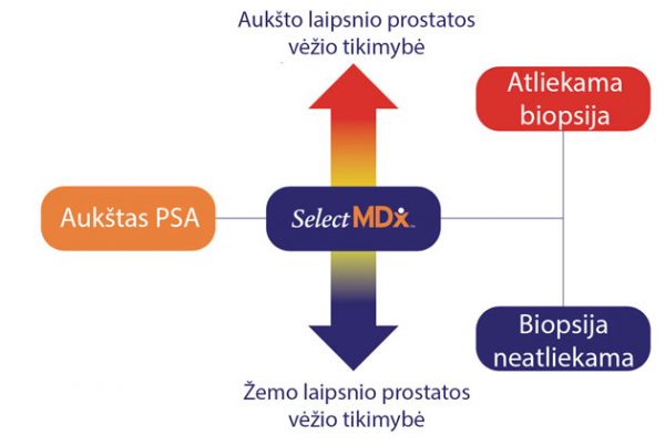 SelectMDx testas - Prostatos vežio tyrimas iš šlapimo